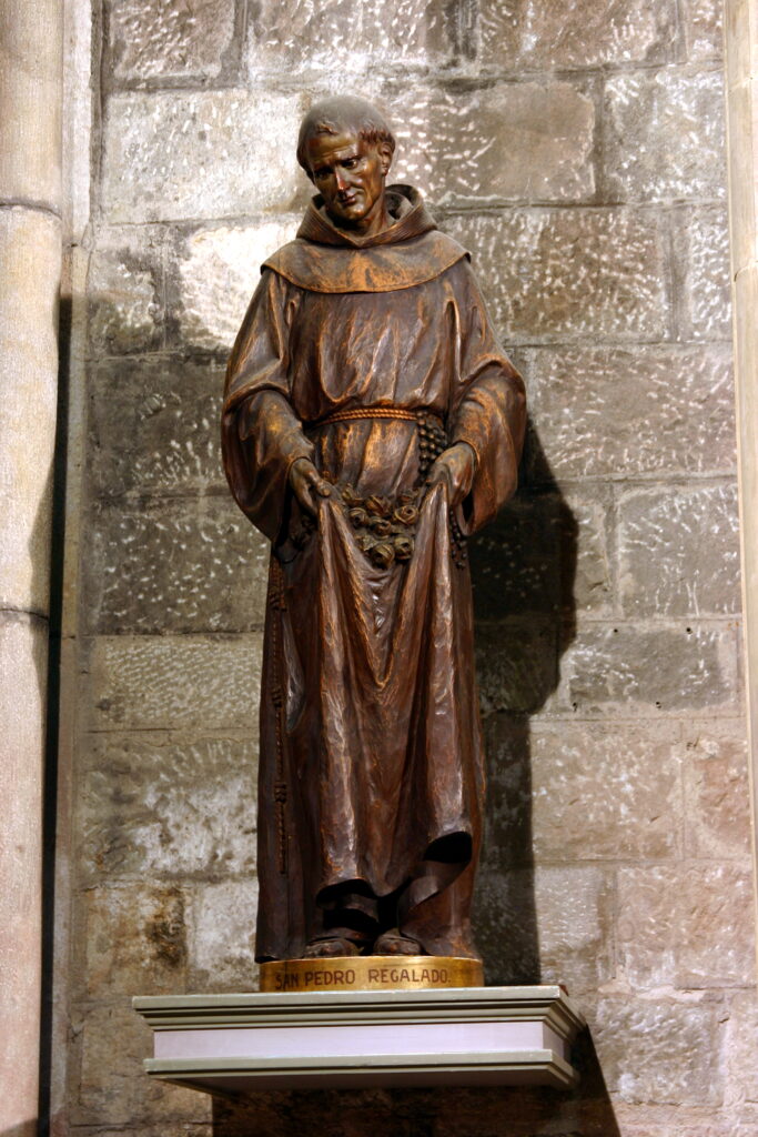 San Pedro Claver - Misioneros Cristianos